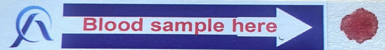 Avigenics ~ Australia's best service for bird DNA testing