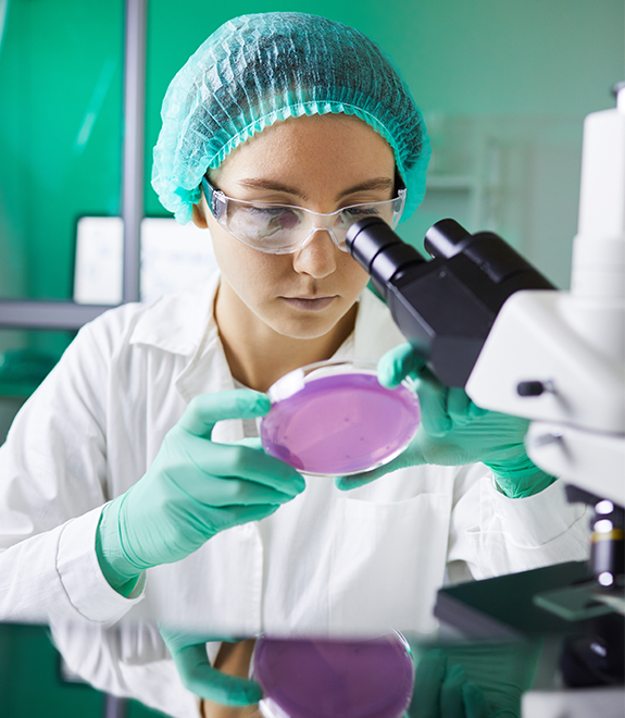 Avigenics ~ Australia's best service for bird DNA testing